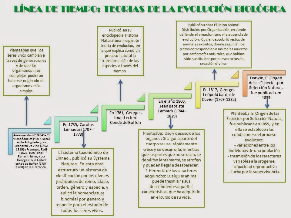 Aprendamos de una manera fácil las teorías de la evolución Biológica ...