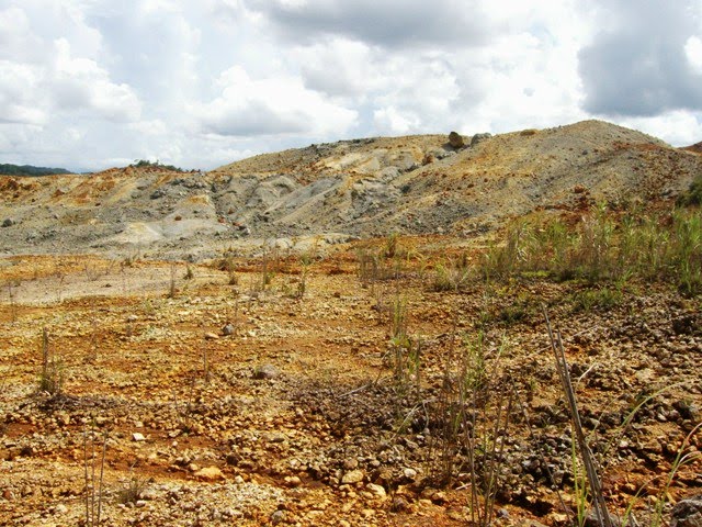 Eastern Samar Diary