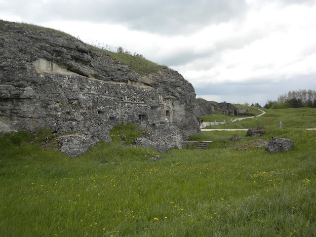 Catching the Trade Winds: The Scarred Landscape of Verdun