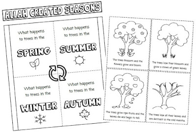 Iman's Home-School: Seasons & Weather Interactive Notebook Pages
