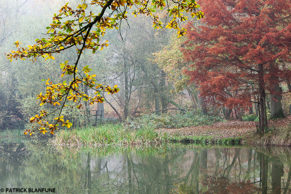AU RYTHME DES SAISONS-----------------: Forêt de Roumare classée Forêt d'Ex