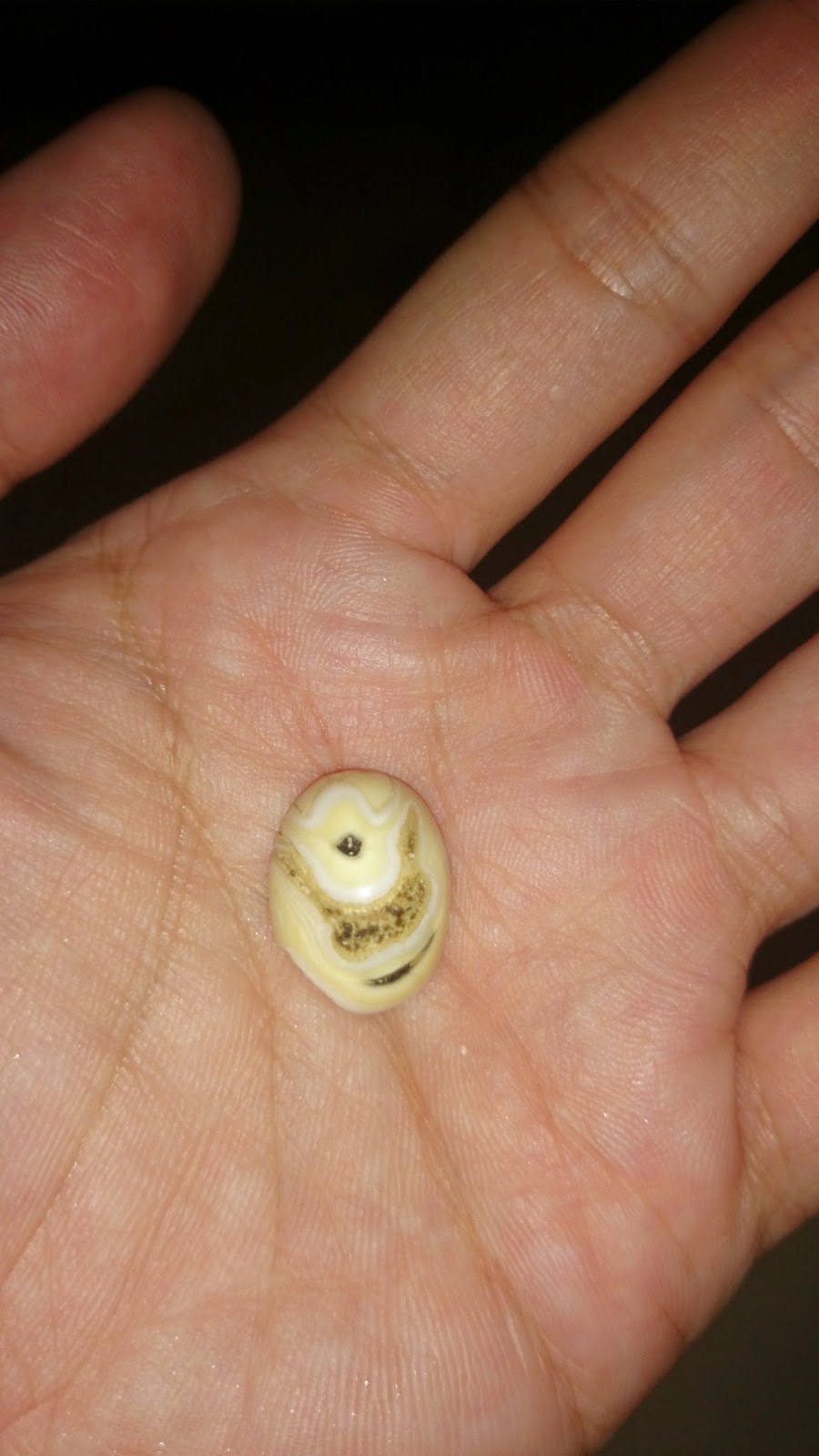 My Crystal Collection (Moldavite, serpentine): Batu akik Cyclops ...