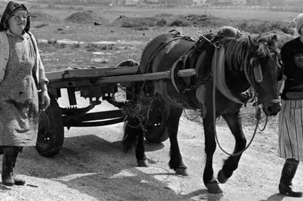 FH3T04 - Major Photography Project: 8. Penclawdd Cockle Pickers