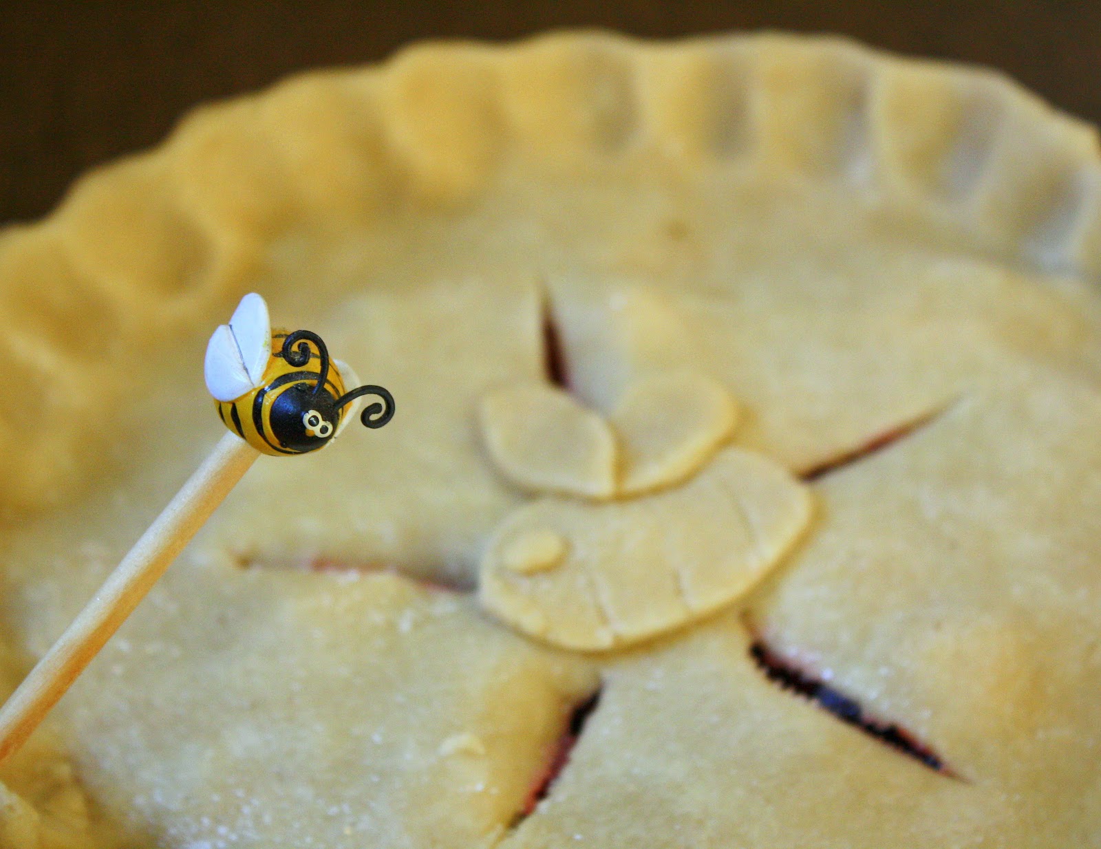 Jane's Sweets & Baking Journal: Bumbleberry Pie . . . for Pi Day 2012!