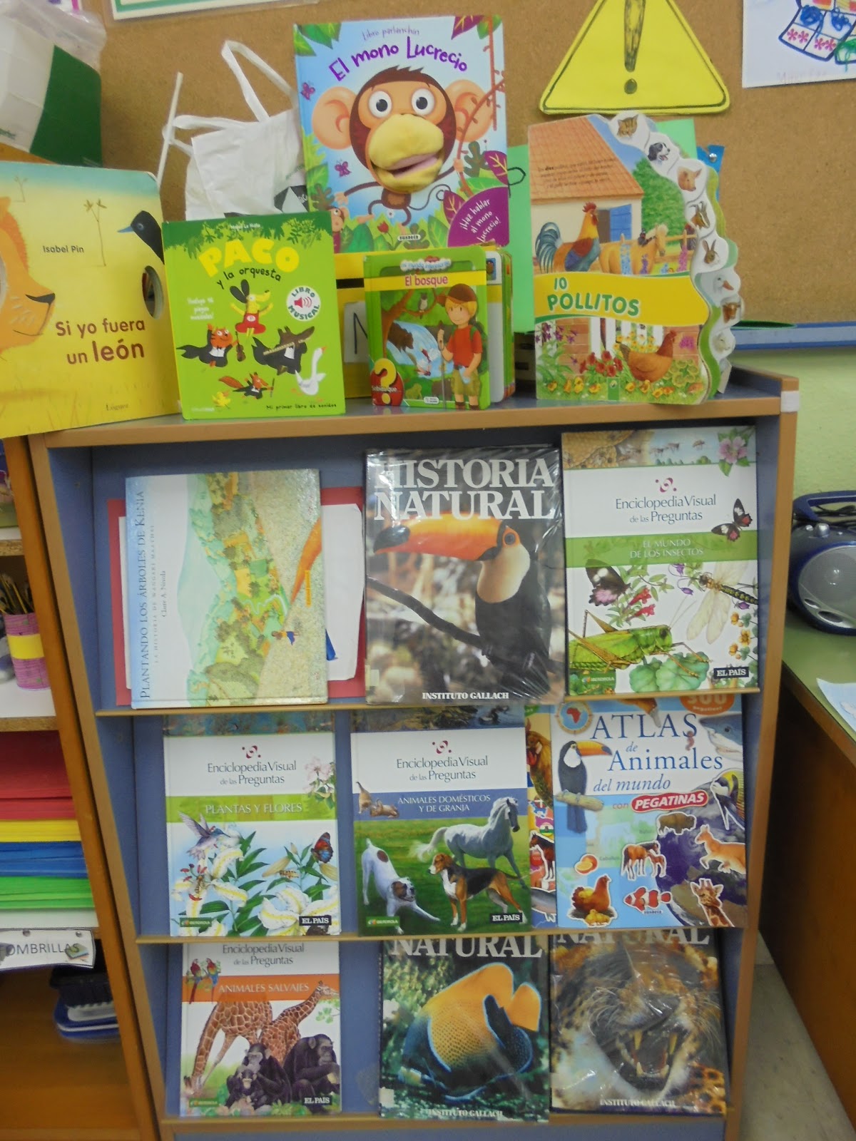 ABRACADABRA: "BIBLIOTECA TEMÁTICA"