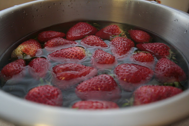 our carlson life: diy thursday: natural homemade berry wash