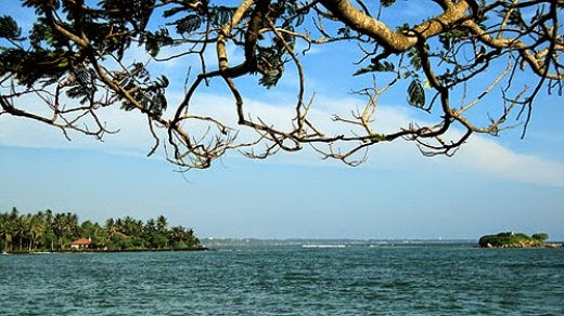 Sri lankan Natural Place : Polhena Beach