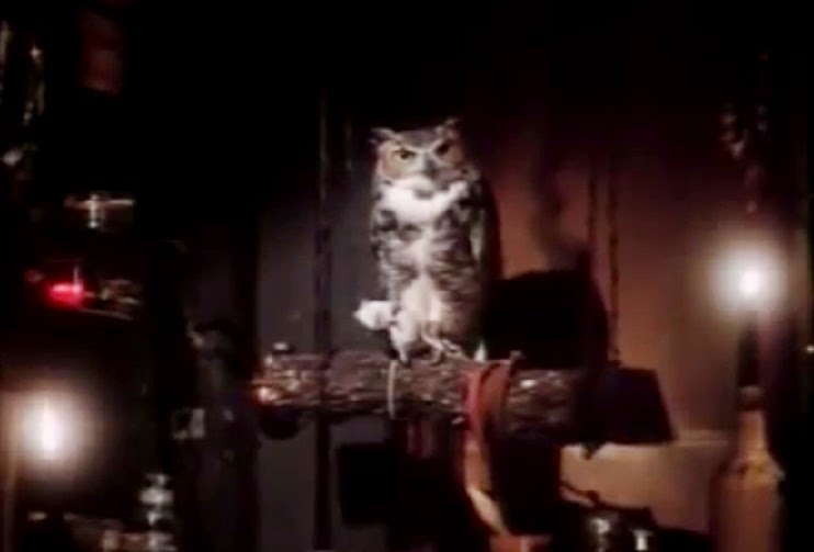 The Bloody Pit of Horror: Play Dead (1983) [filmed in 1981]