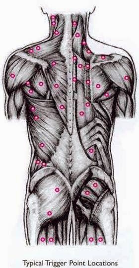 ΧΡΕΙΑΖΟΜΑΙ ΕΝΑ ΘΕΡΑΠΕΥΤΙΚΟ ΜΑΣΑΖ ΤΩΡΑ!!!!: Θεραπεία Μυϊκών Σημείων ...