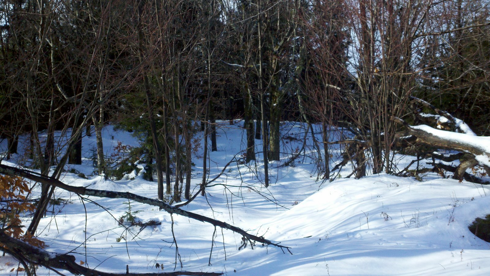 Off on Adventure: Pilot Knob Mountain - 11/25/11