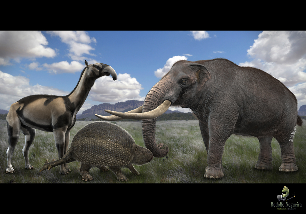 Haplomastodon - Alchetron, The Free Social Encyclopedia