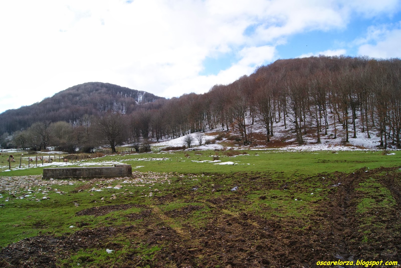 Monteadicción: Montes de Belate ( Gazteluzarra-Mendiborobil-Iterrizokoa ...