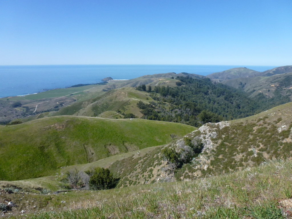 Hiking With Dave: East Molera Trail to Post Summit