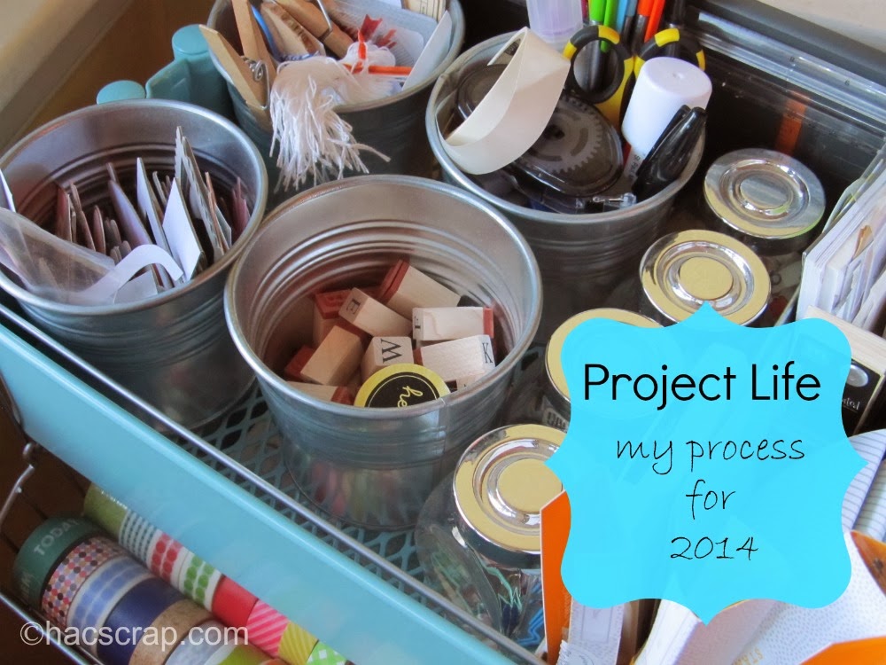 Project Life Process 2014