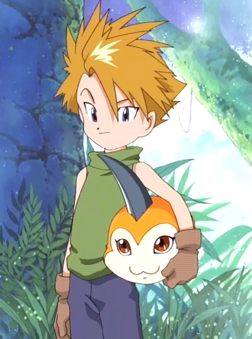 Digimon: Matt Ishida & Gabumon