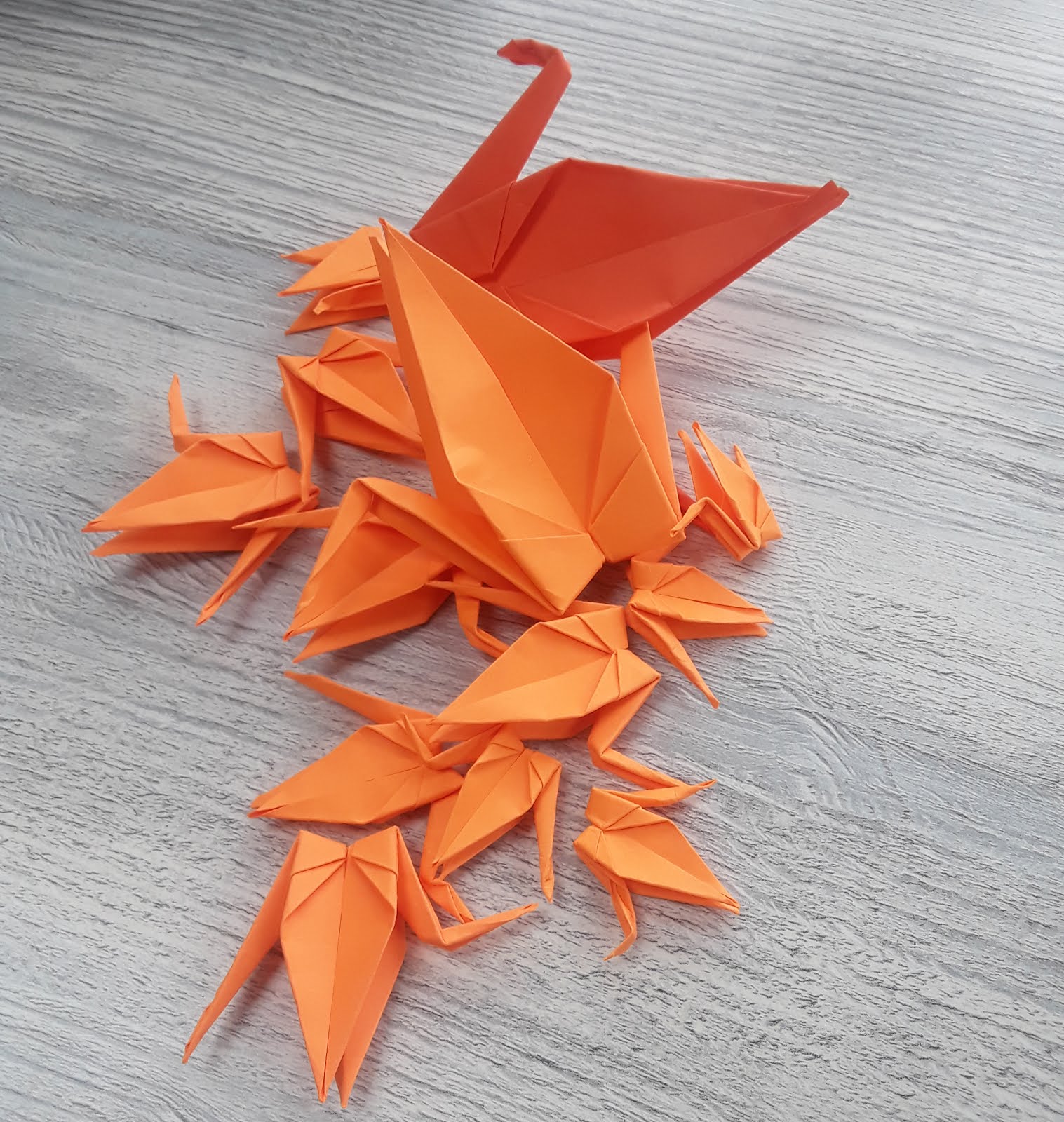 Orange Origami Cranes For National Gun Violence Awareness 100 Cranes Orange Origami Cranes For National Gun Violence Awareness 100 Cranes