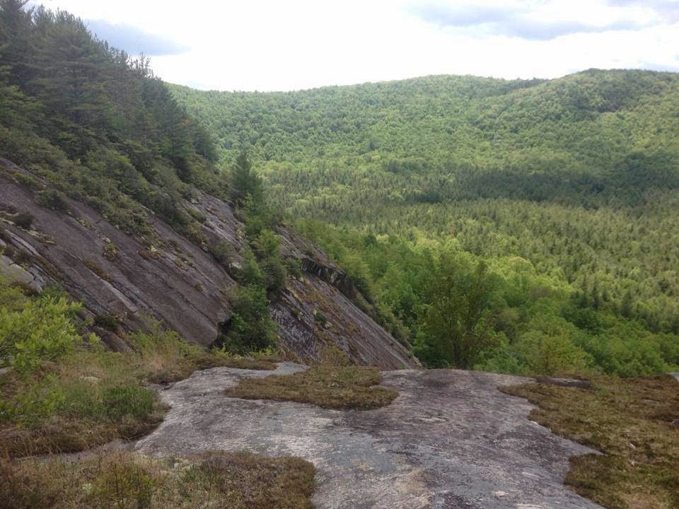 SAPS-NCGA: Panthertown Valley hike with Dan Pittillo