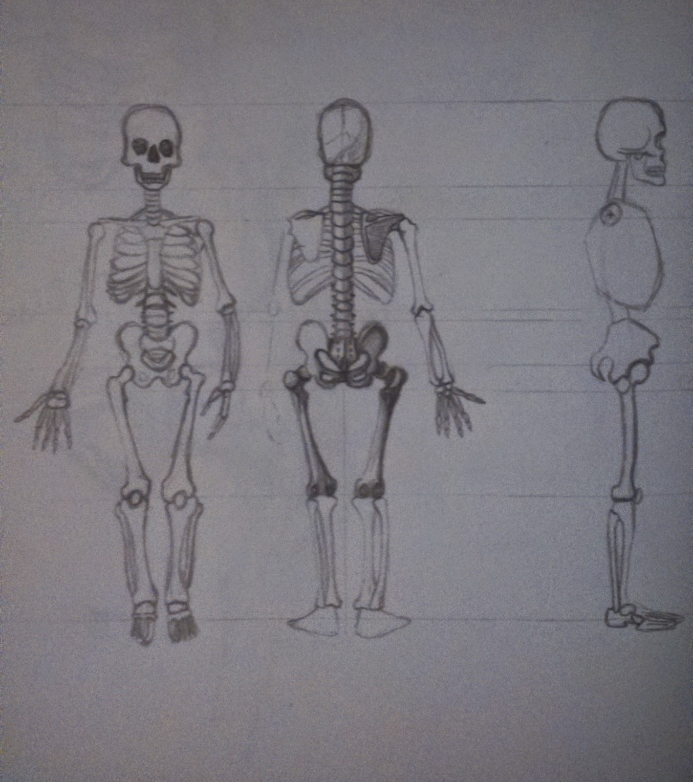 Art Work and Games Design: Anatomy and Proportion