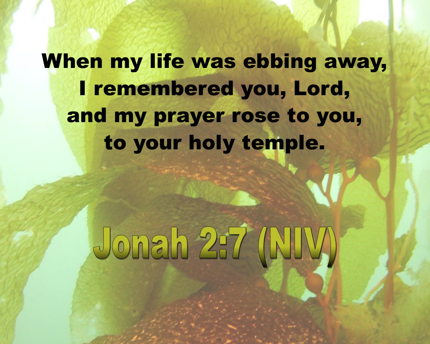 Bible Study Discussion with Susan & Susie: JONAH 2:7 - MEMORY VERSE