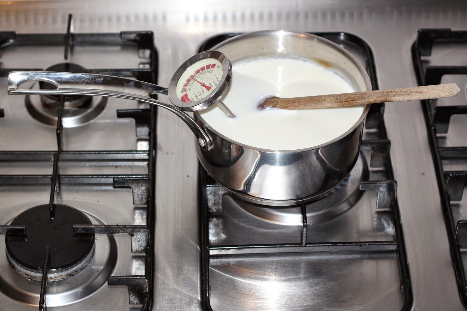 Alicia's Adventures in London-Land: I scream for...yogurt!!!