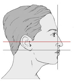 Nose Proportions