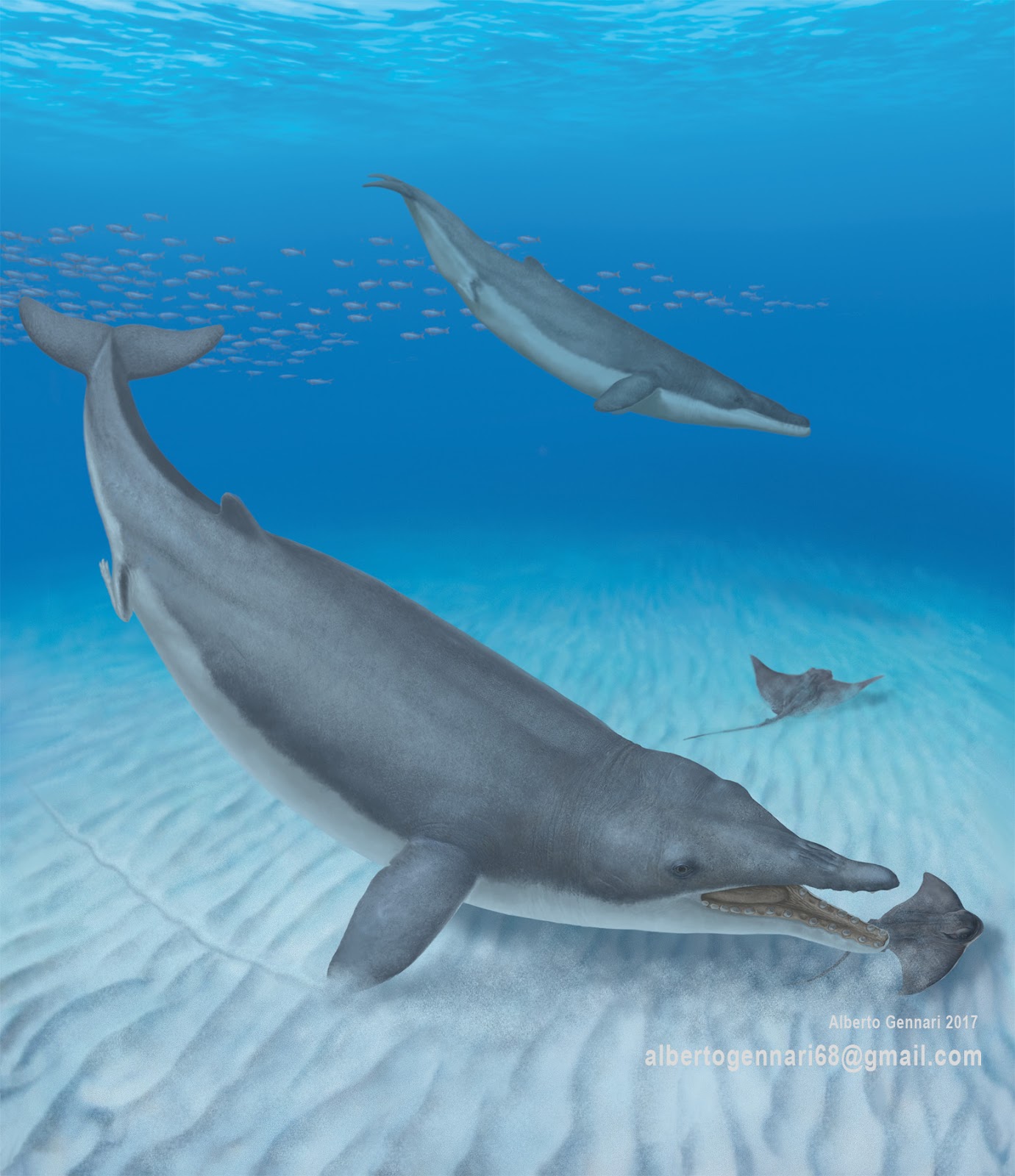 The art of Alberto Gennari: Educational and scientific illustrations