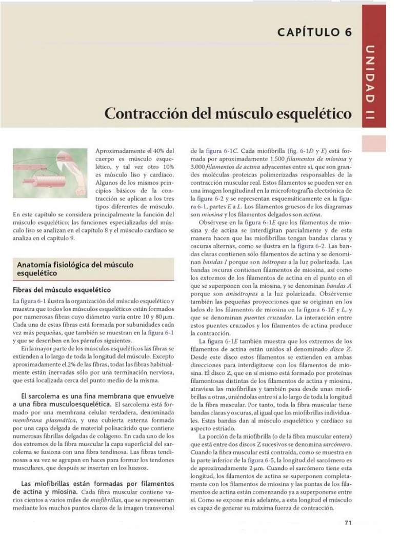 guyton fisiologia humana pdf - wood scribd braxin