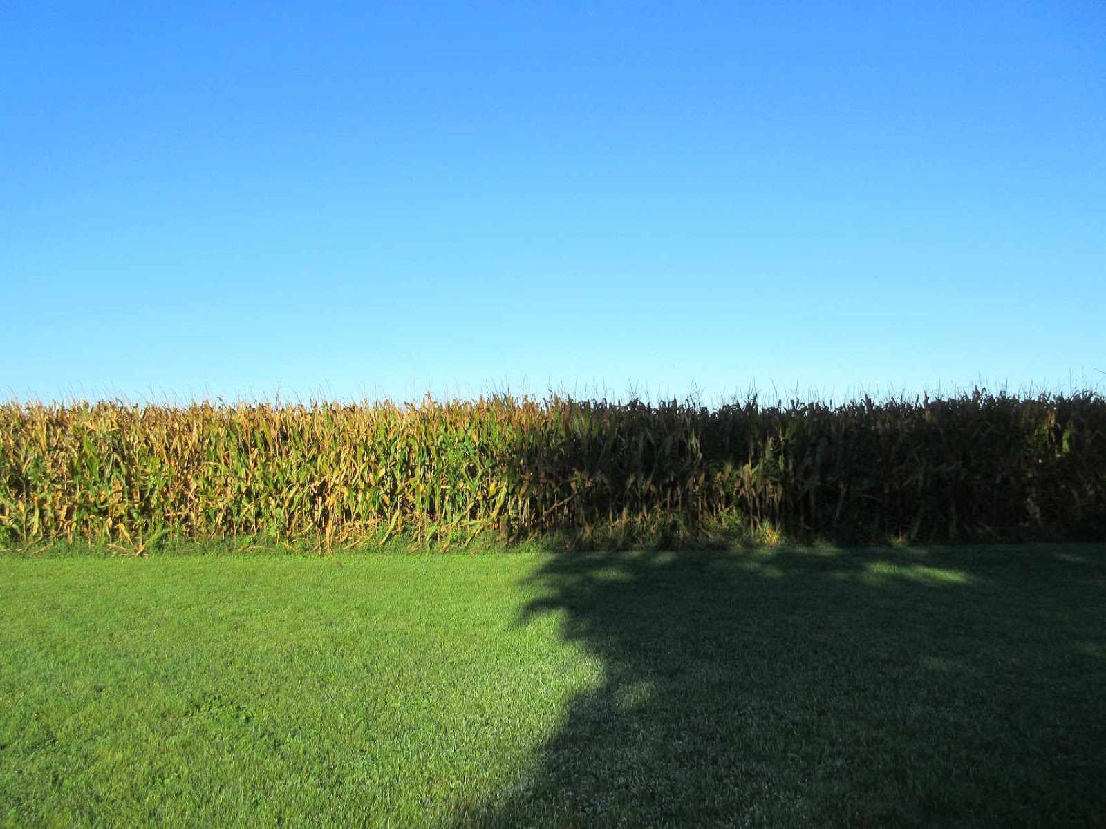 Three Things Very Dull Indeed