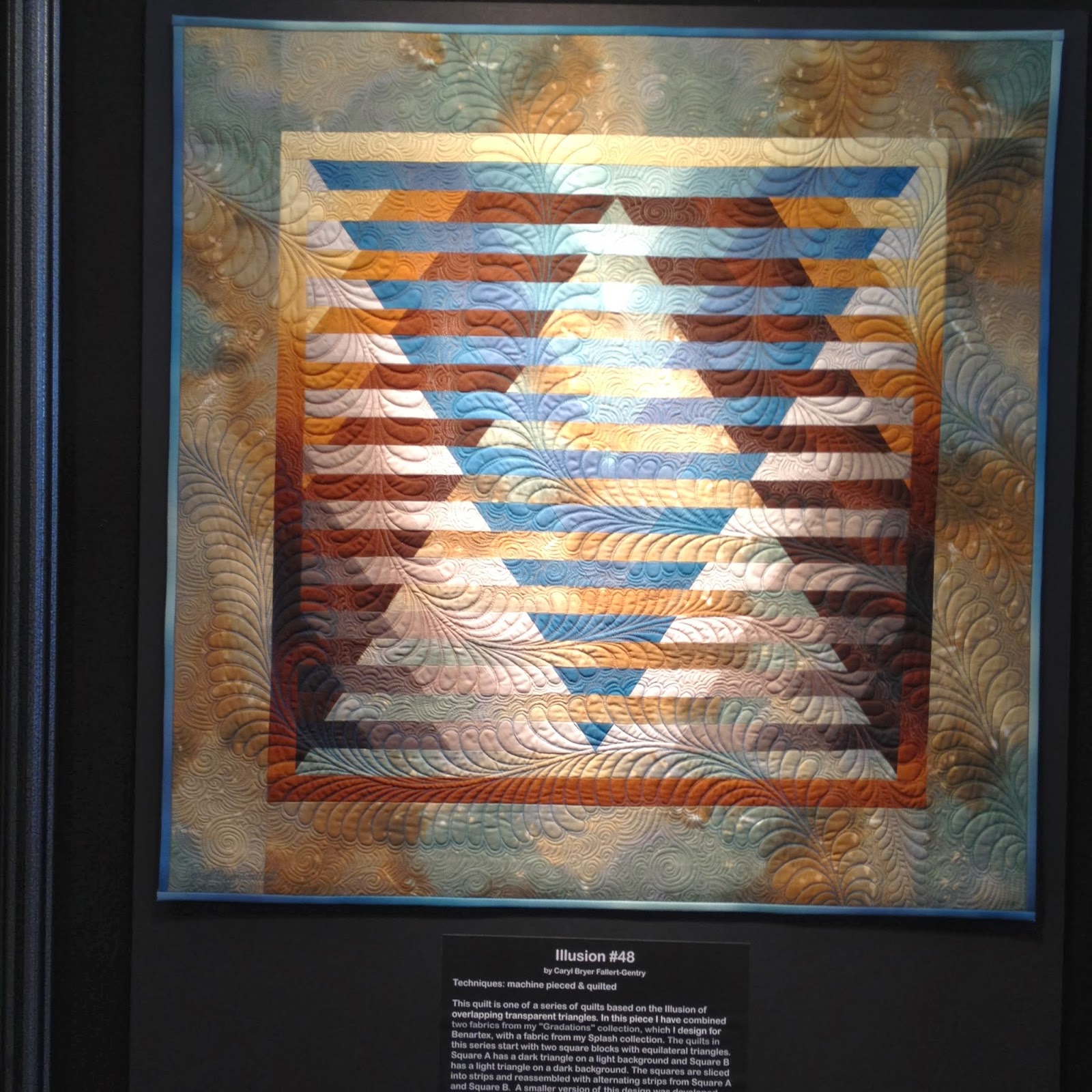 Sew Fun 2 Quilt: Carol Bryer Fallert Gentry