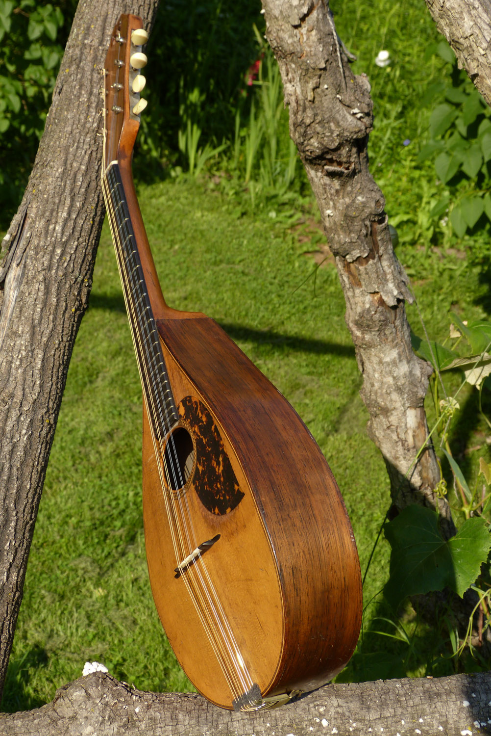 1914 Martin Style B Flatback Mandolin