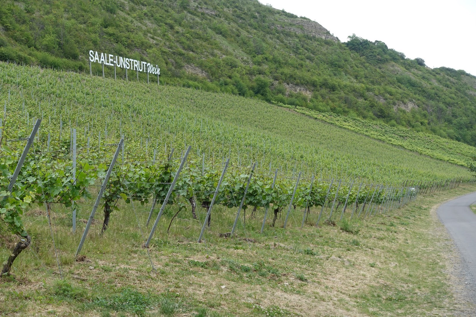 schiller-wine: Schiller’s Favorite Winemakers in the Saale-Unstrut ...