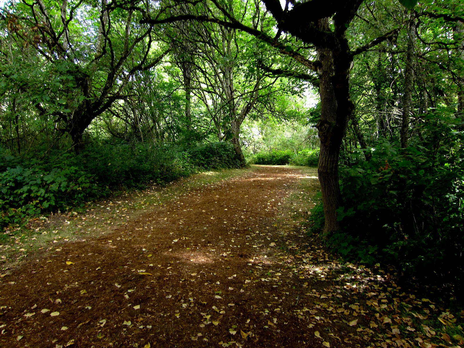 Thom Zehrfeld Photography : Willamette Mission State Park