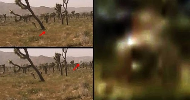 UFO with tiny alien takes off from Joshua Tree National Park?