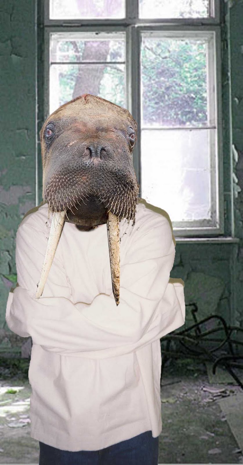 Go Kiss A Duck: CRAZY WALRUS MAN!!!