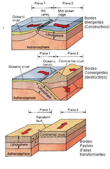 rosa maria: Tectonicas de placas y actividades