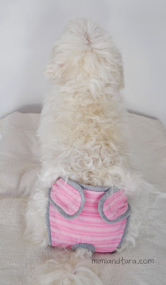 Dog diaper pattern | Mimi & Tara | Free Dog Clothes Patterns