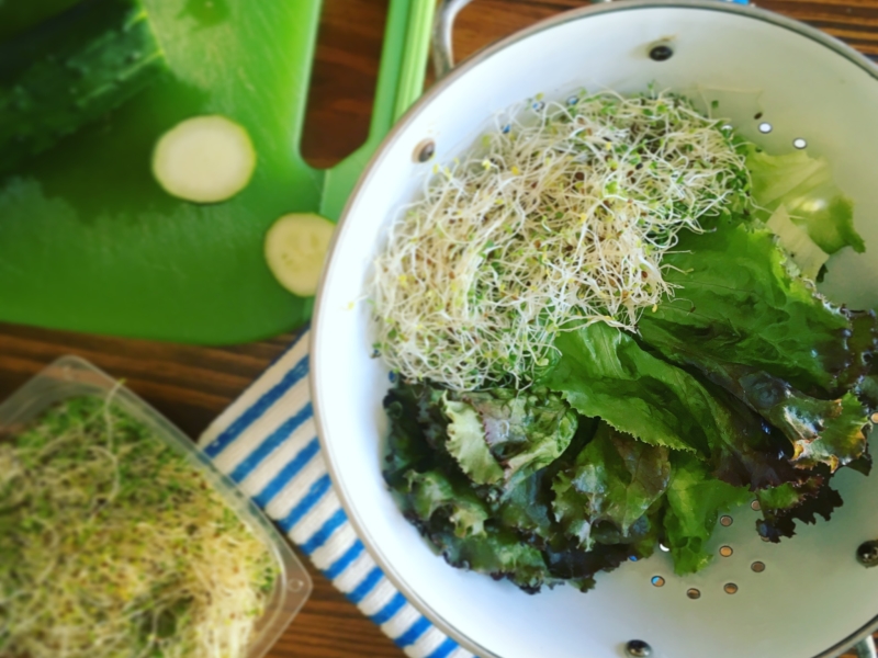 Pechugas de pollo con crema de cilantro - Delirios de Cocina