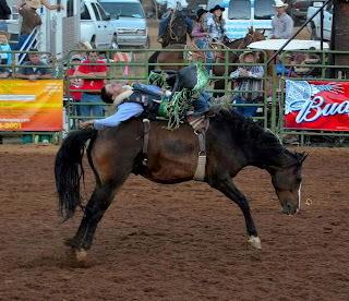 Random Images from a Nightowl: Nevada County Fair Pro Rodeo August 11, 2011