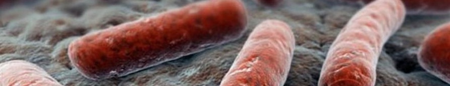 Miss Bains' Biology 11 Website: Class Guidelines