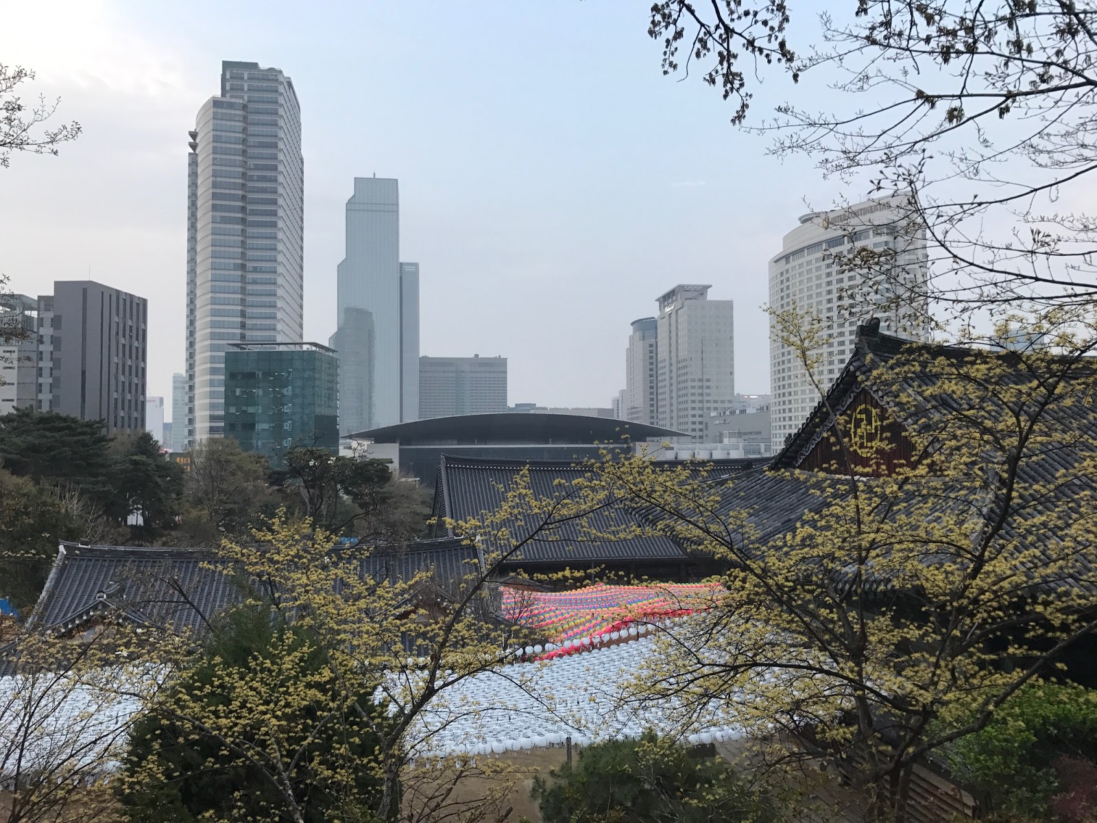 [Seoul - Coex] Cherry Blossom Tour at Bongeunsa Temple
