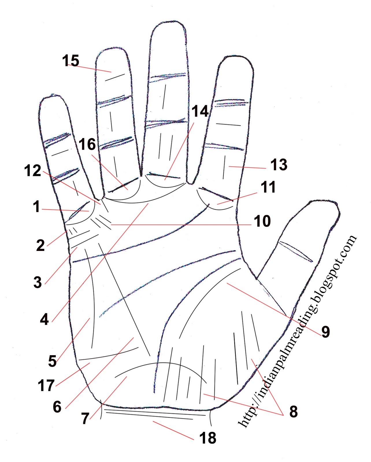 Read Your Hand Lines For Marriage, Career, Travel And Love ~ INDIAN ...