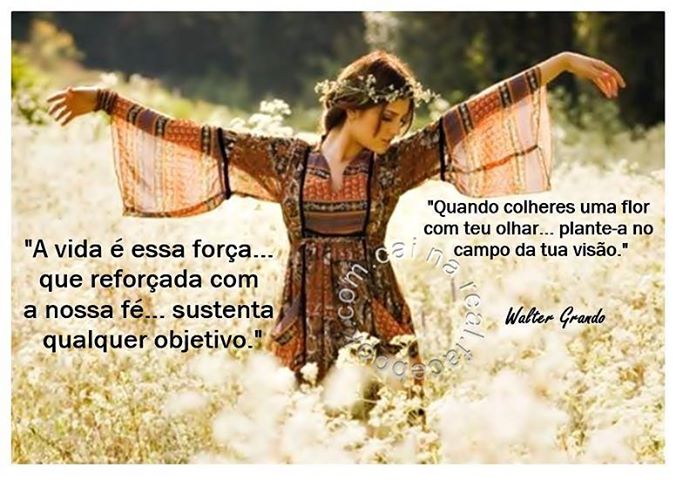 TRIBARTE: Significado de Absorto