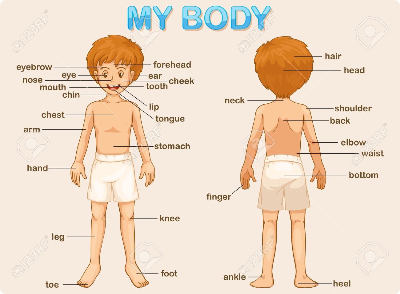 ENGLISH IS REALLY FUNNY We Need To Know The Parts Of Our Body ENGLISH IS REALLY FUNNY We Need To Know The Parts Of Our Body