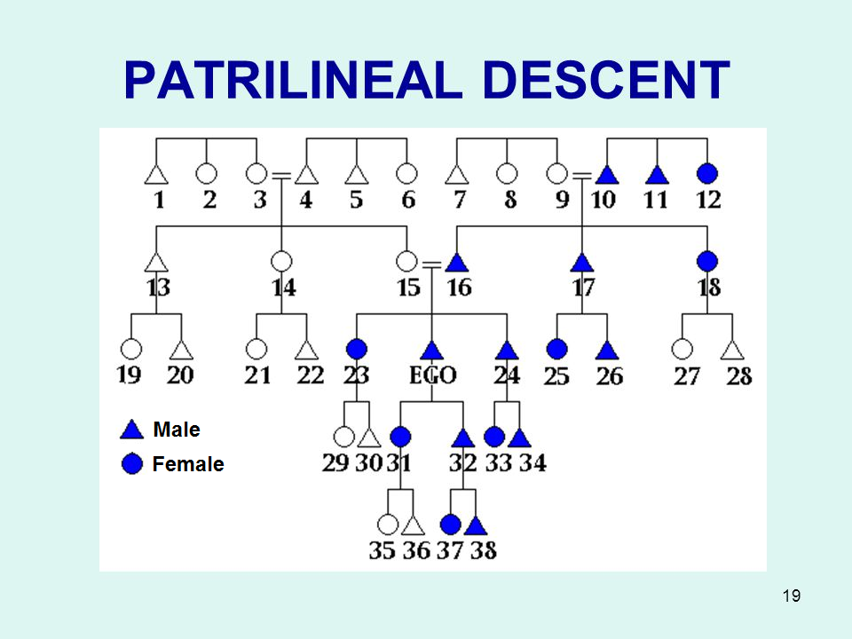 SexualReligion: (146) Consanguineous marriages