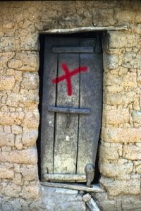 Splinters In T.I.M.E: Plague house