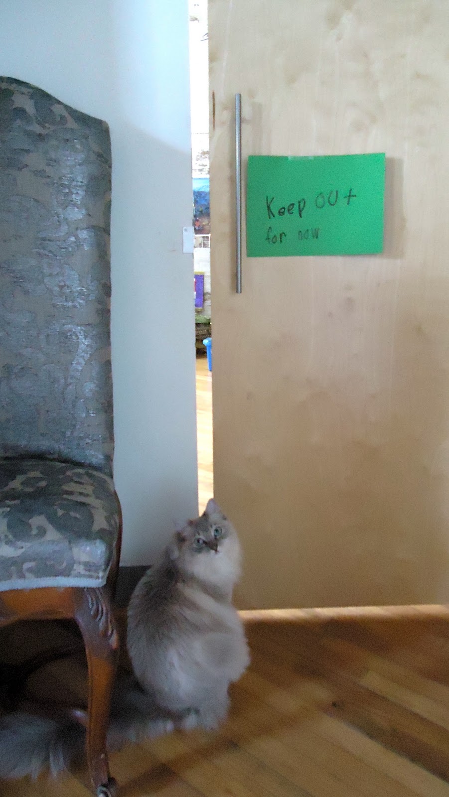 * T h e * V i s u a l * V a m p *: Behind Closed Doors - Tom Landry