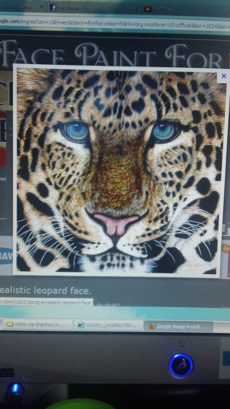 Daily Doses of Beauty: LookBook: Leopard Face