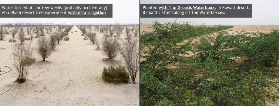 Earth's Internet & Natural Networking: Groasis Waterboxx: Desert ...