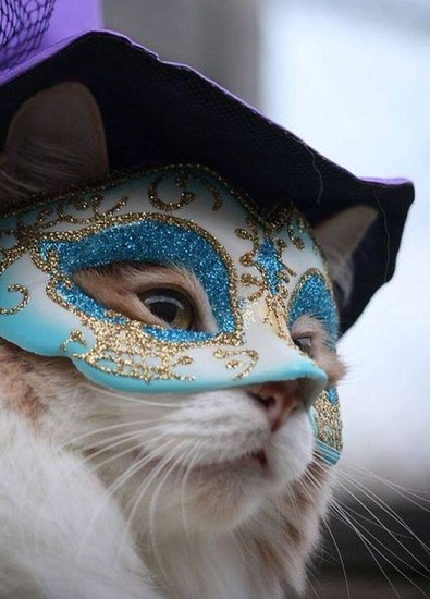 Big Gay Longcat's Big Gay Longblog: Who was that masked cat?