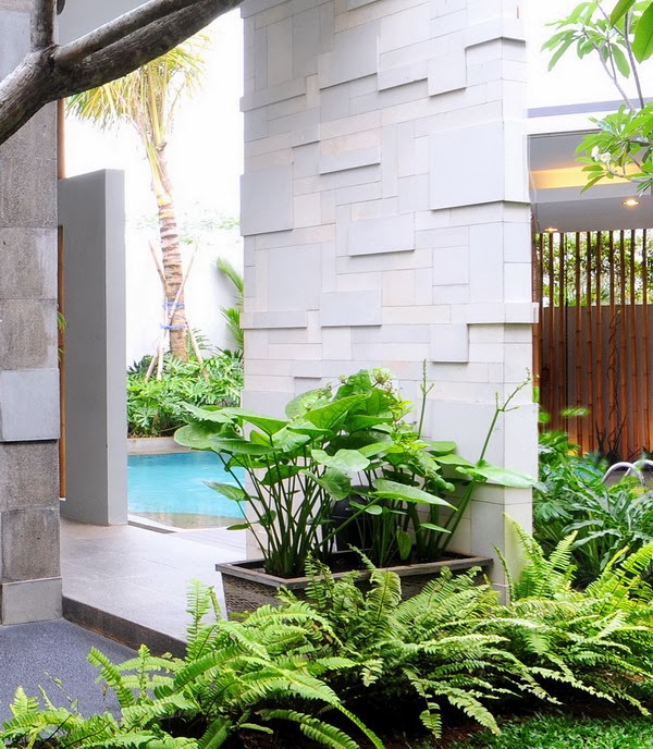 Batu Paras: Batu Paras Jogja